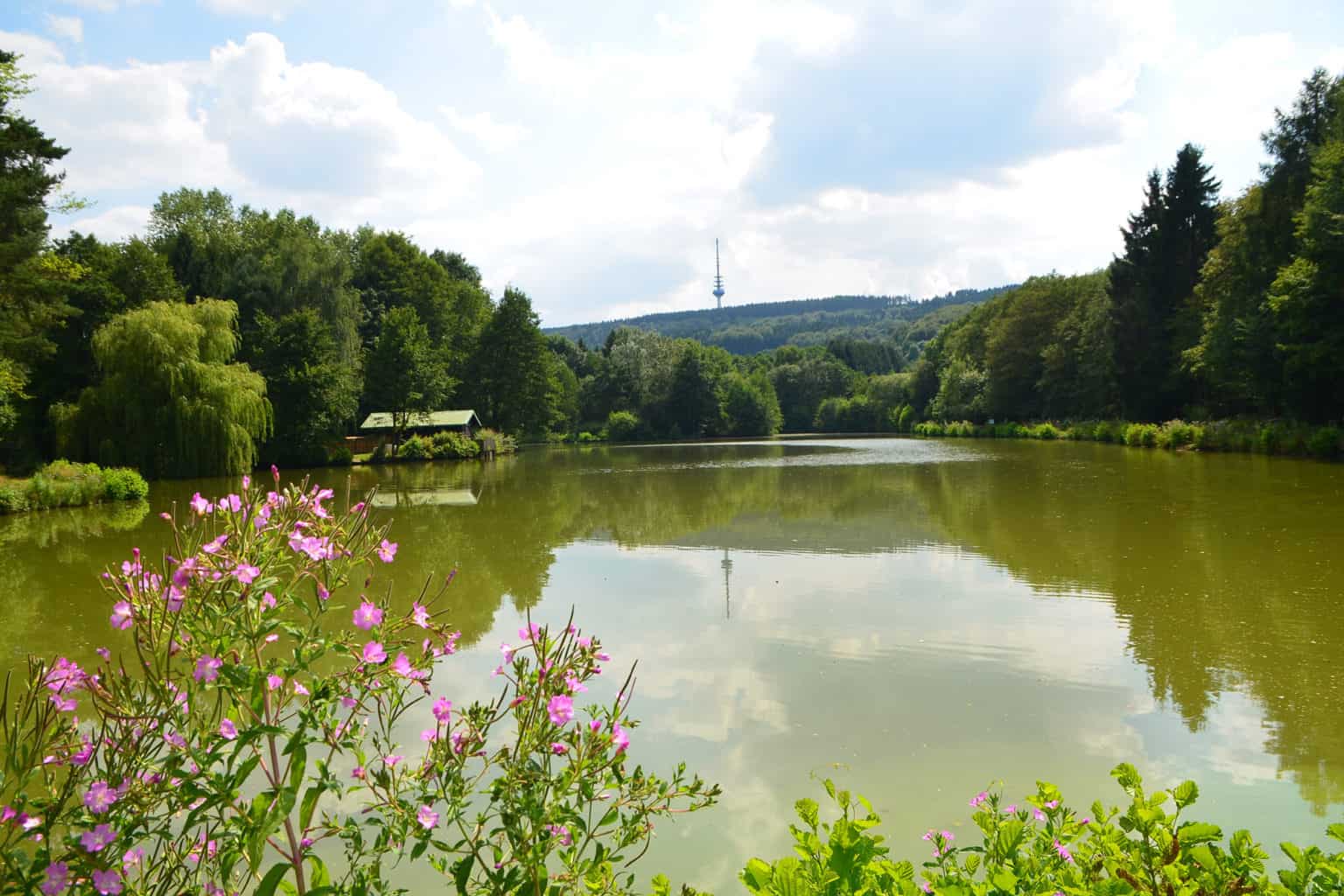 Wildgehege - Willebadessen Tourismus